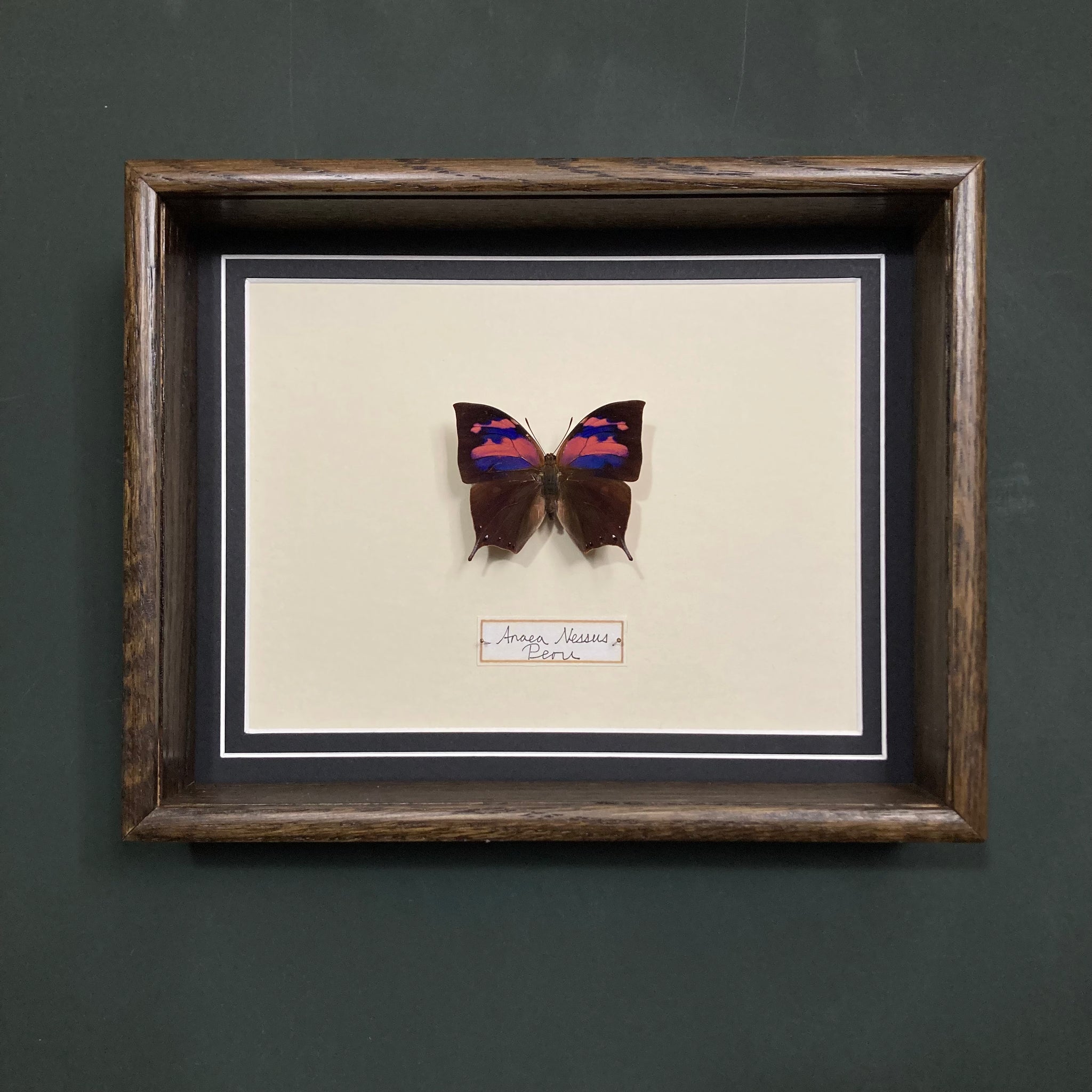 Les Couilles Du Chien – Les Couilles du Chien