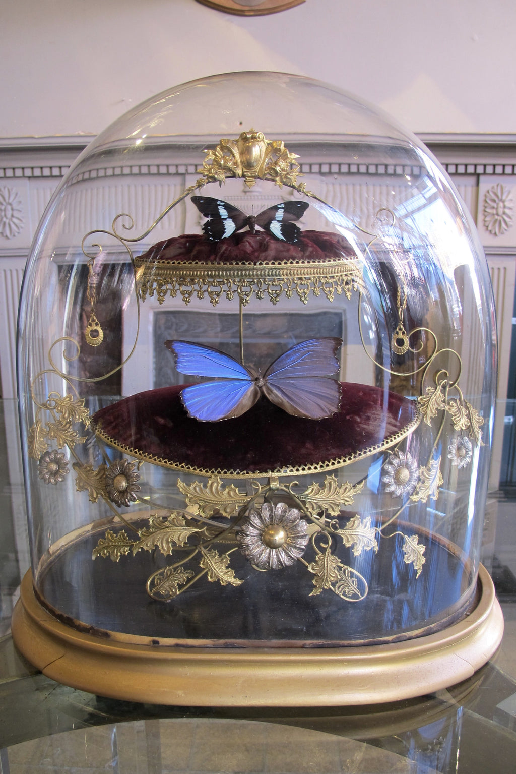 X Butterflies in a Antique Bell Jar – Les Couilles du Chien